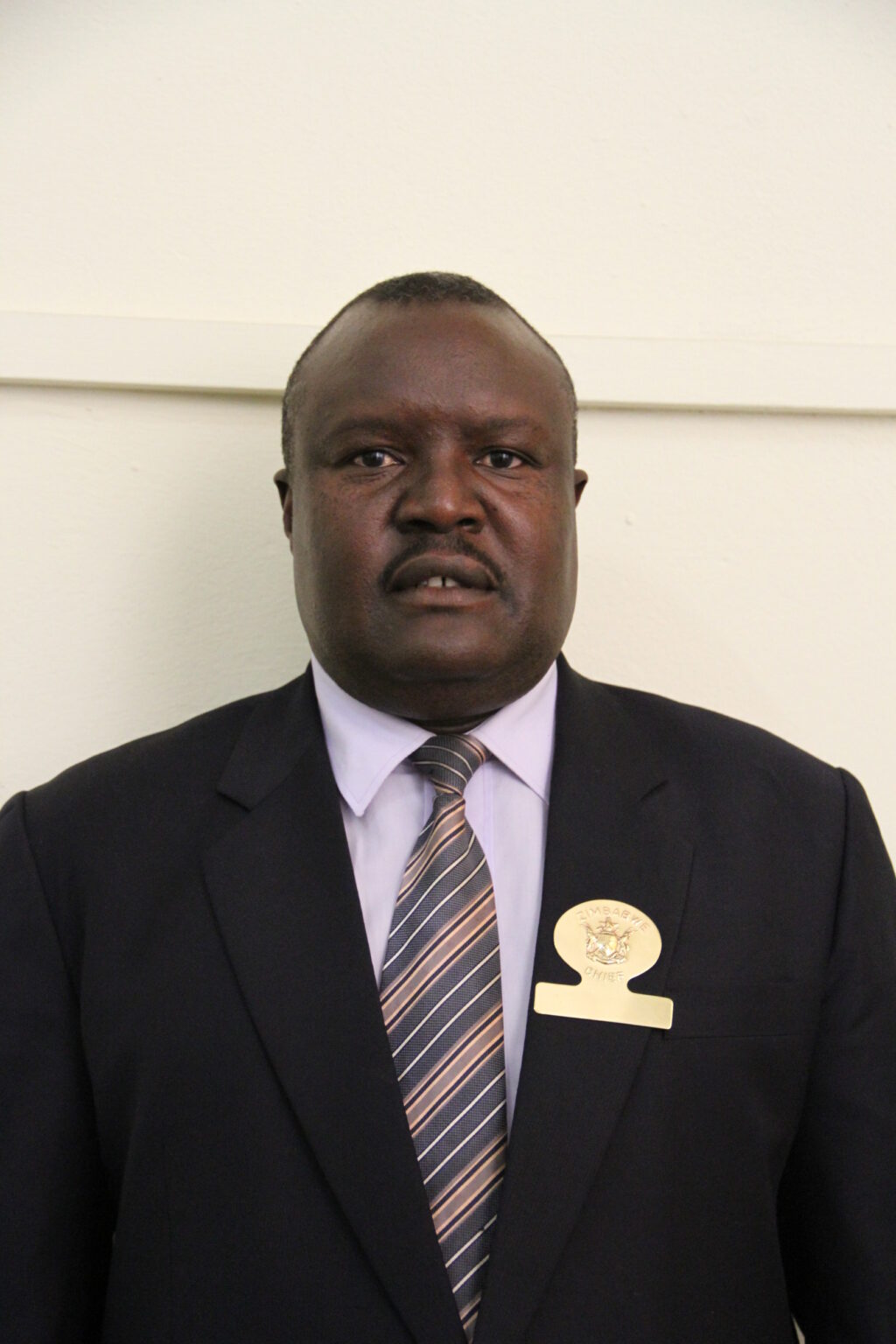 Fortune Charumbira Re-Elected as President of the PAP