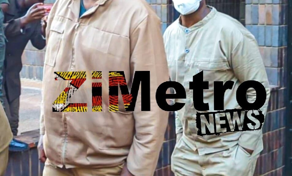 Mike Chimombe and Moses Mpofu Seek Constitutional Court Ruling on Age ...